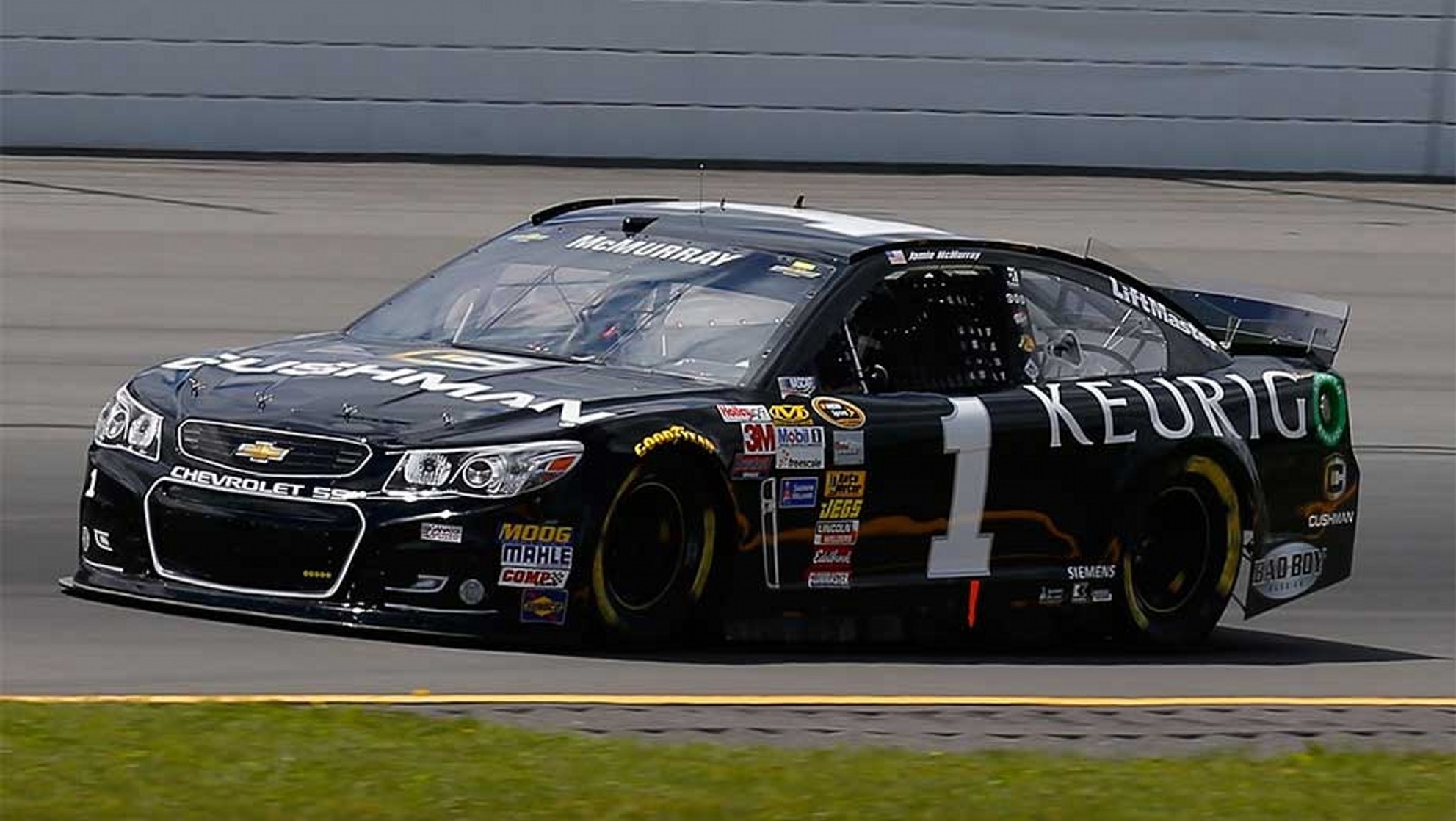 Picture of NASCAR Paint Schemes