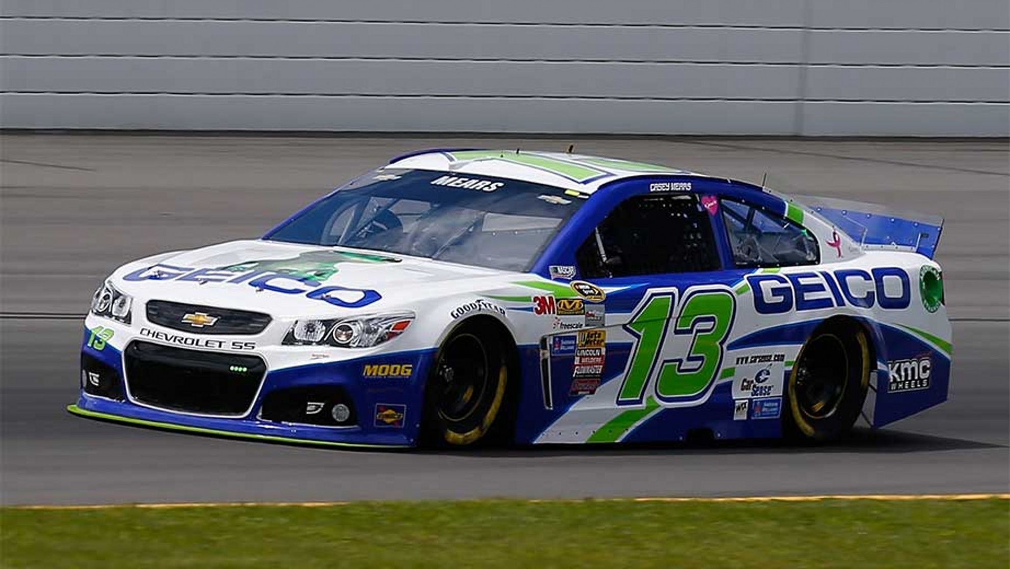 Picture of NASCAR Paint Schemes