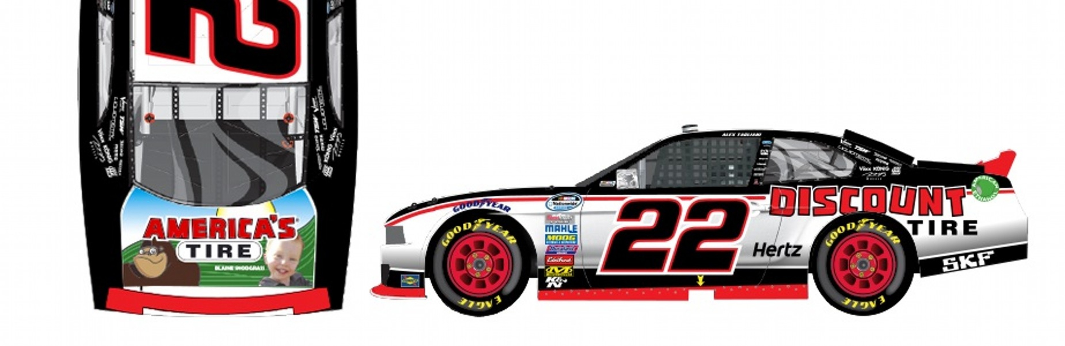 Picture of NASCAR Paint Schemes