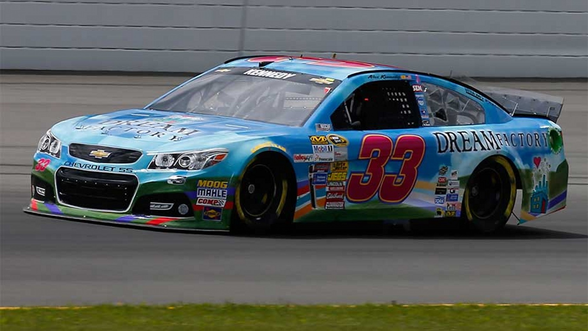 Picture of NASCAR Paint Schemes