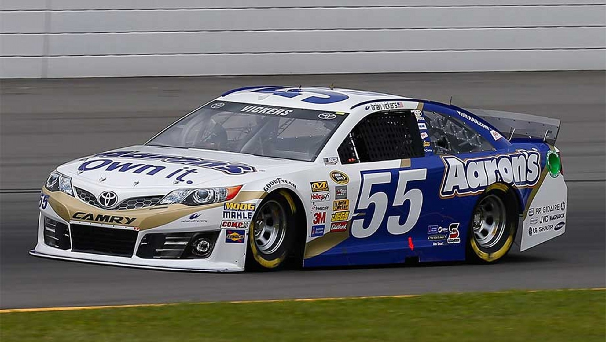 Picture of NASCAR Paint Schemes