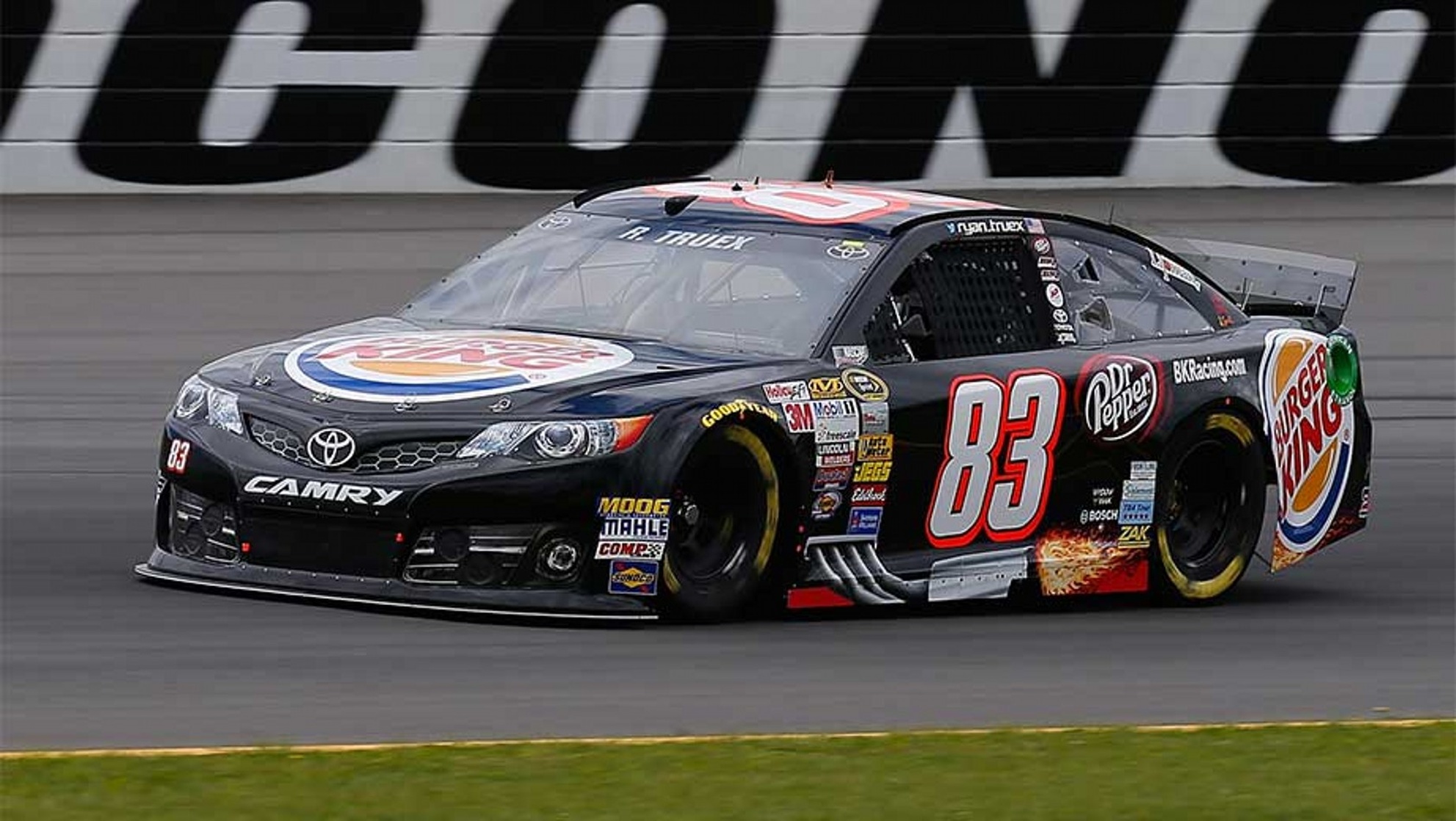 Picture of NASCAR Paint Schemes