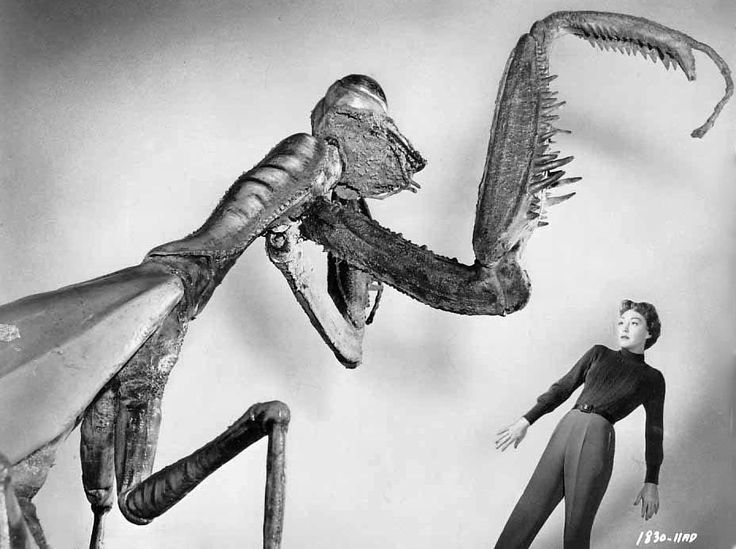 Picture of Alix Talton