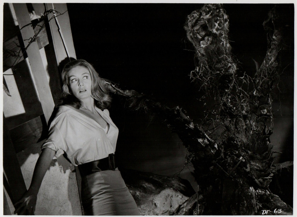 Picture of Janette Scott