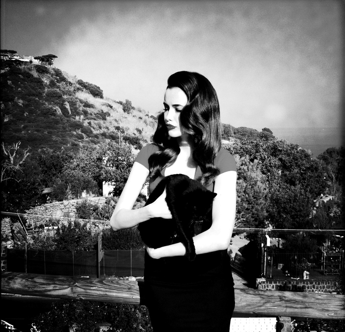 Picture of Sarah Stephens