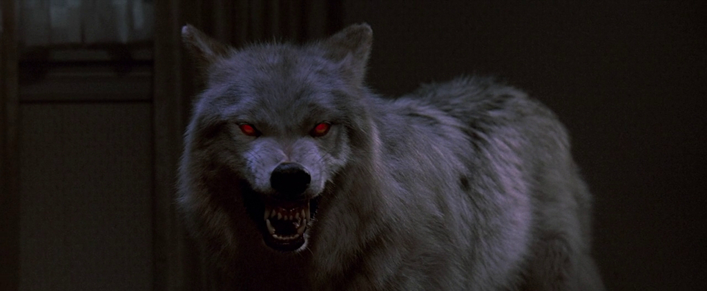 Picture of Fright Night