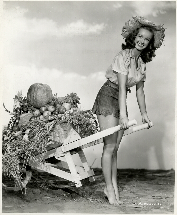 Noel Neill image
