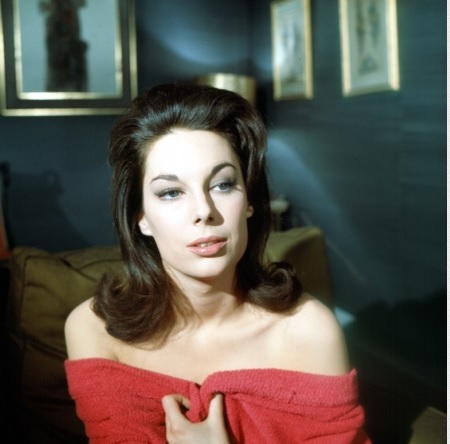 Picture of Tracy Reed