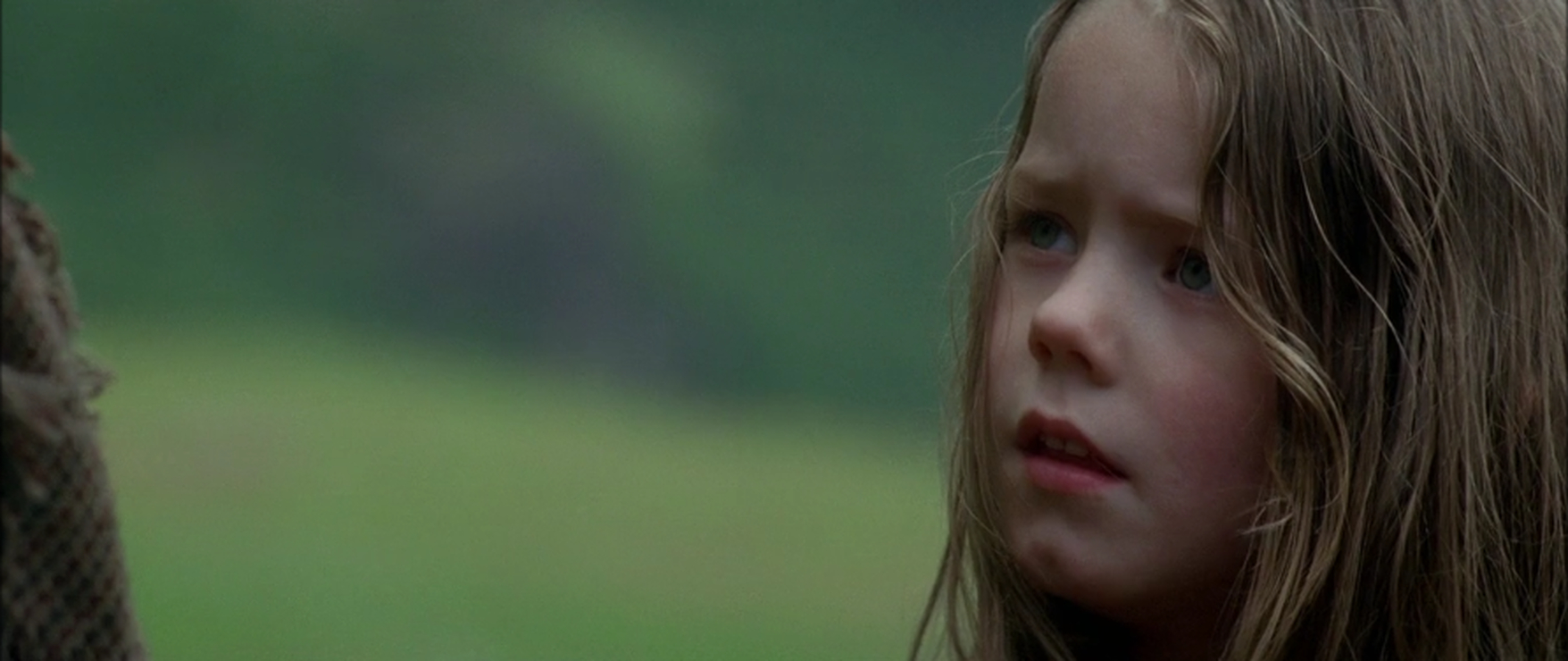 Picture of Braveheart