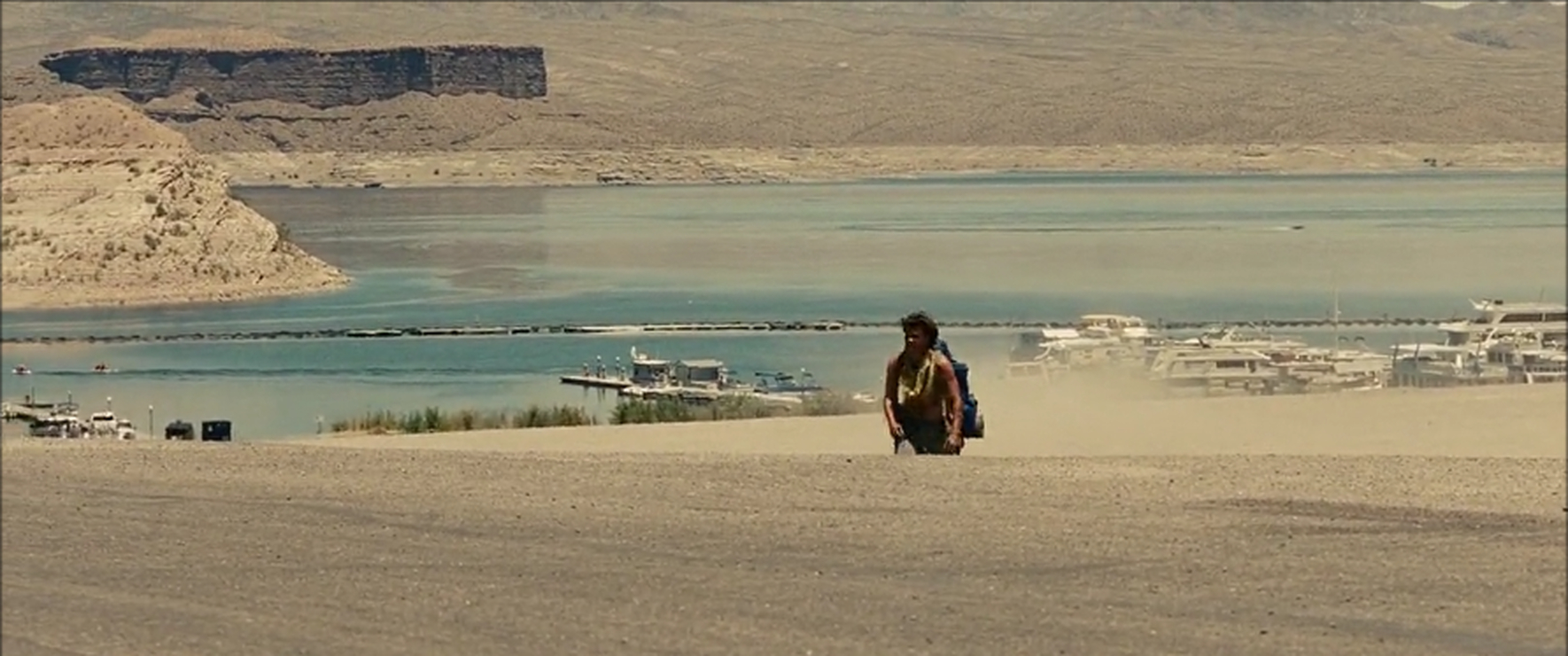 Image of Into the Wild