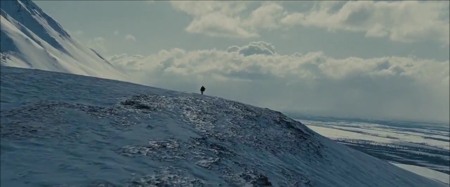 Into the Wild picture