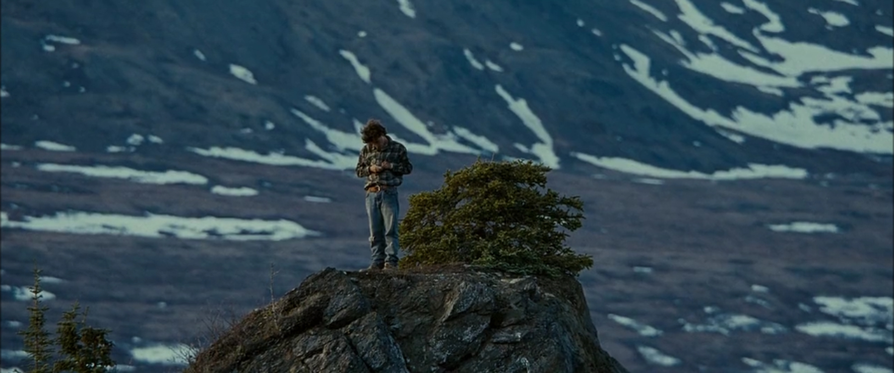 Picture of Into the Wild