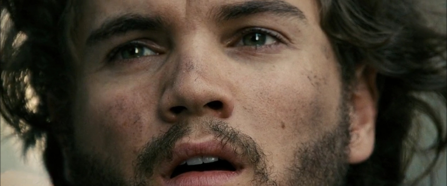 Picture of Into the Wild