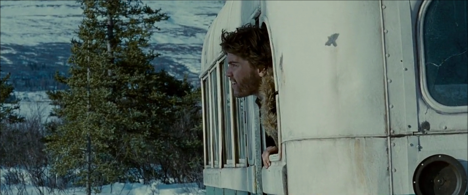 Picture of Into the Wild