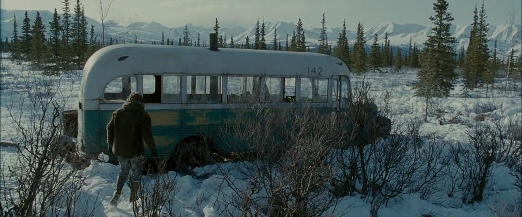 Picture of Into the Wild