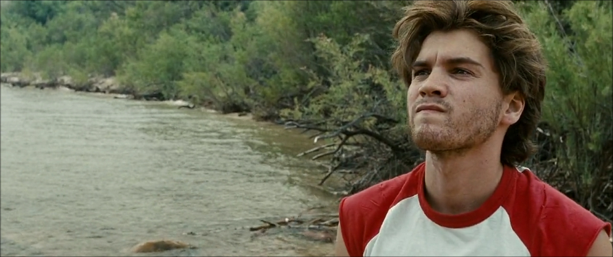 Image of Into the Wild