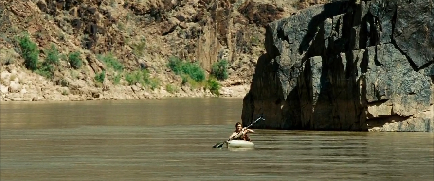 Picture of Into the Wild