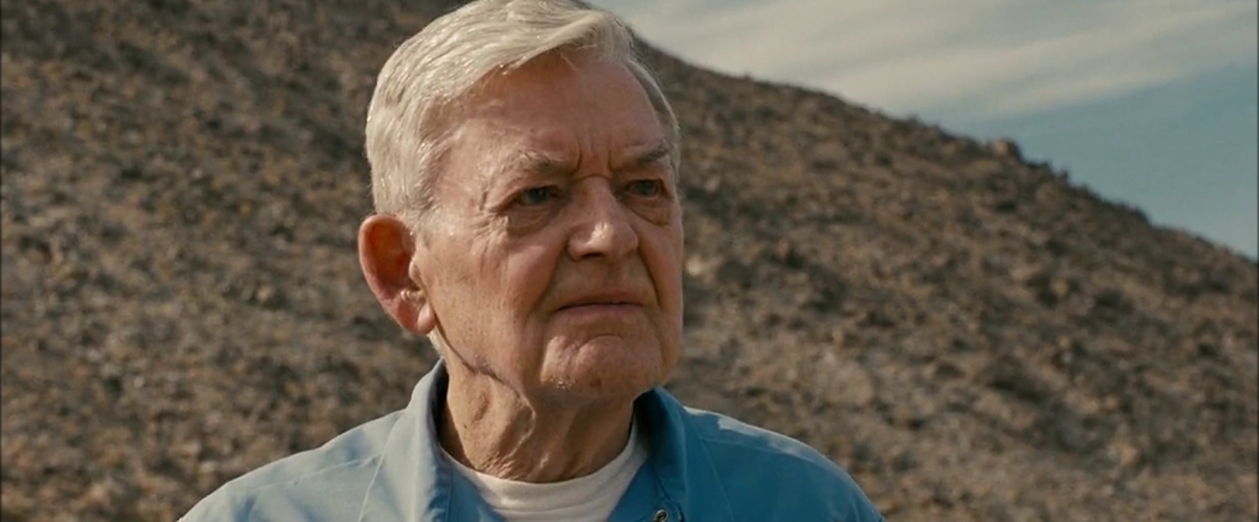 Picture of Into the Wild