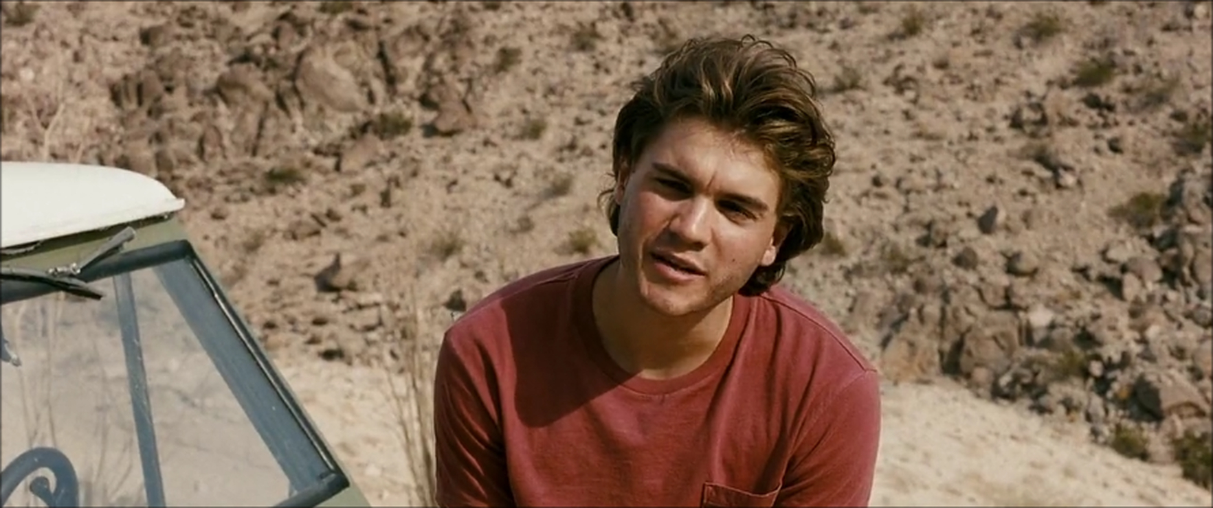 Picture of Into the Wild