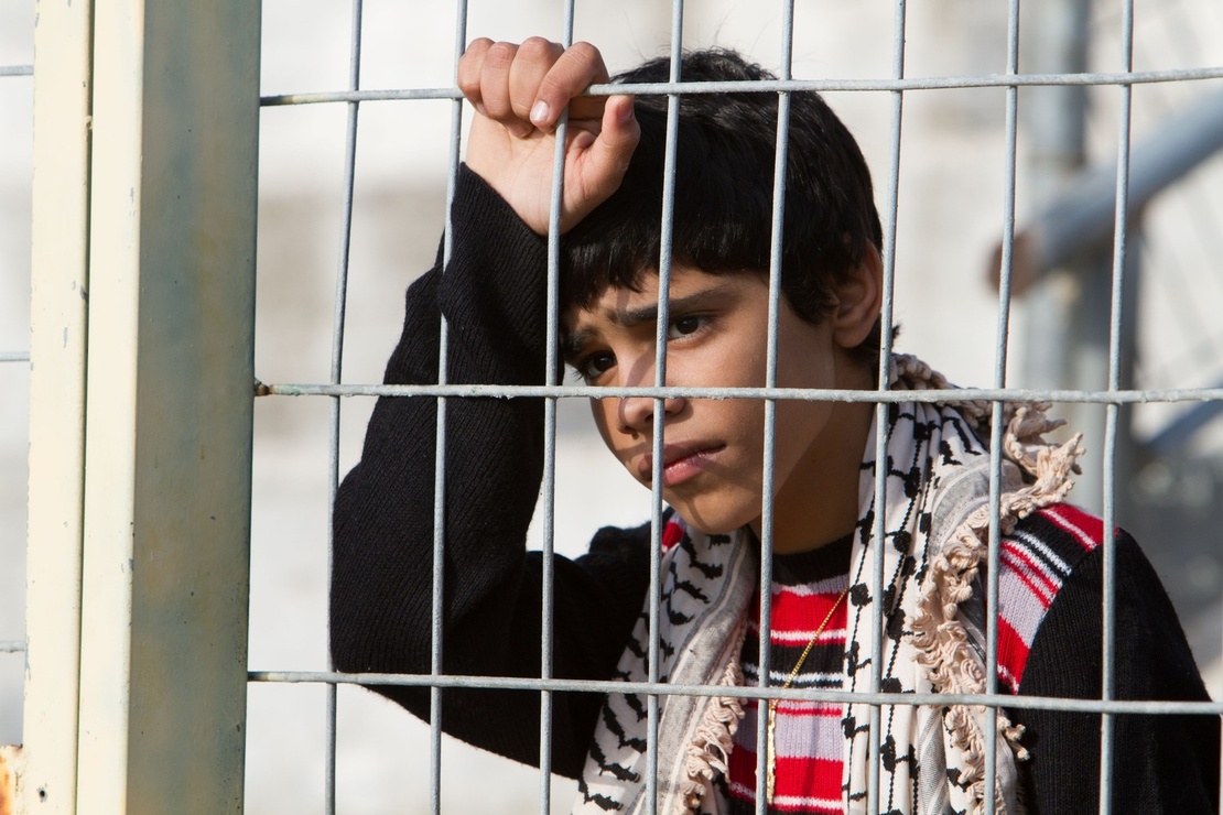 Zaytoun (2012) picture