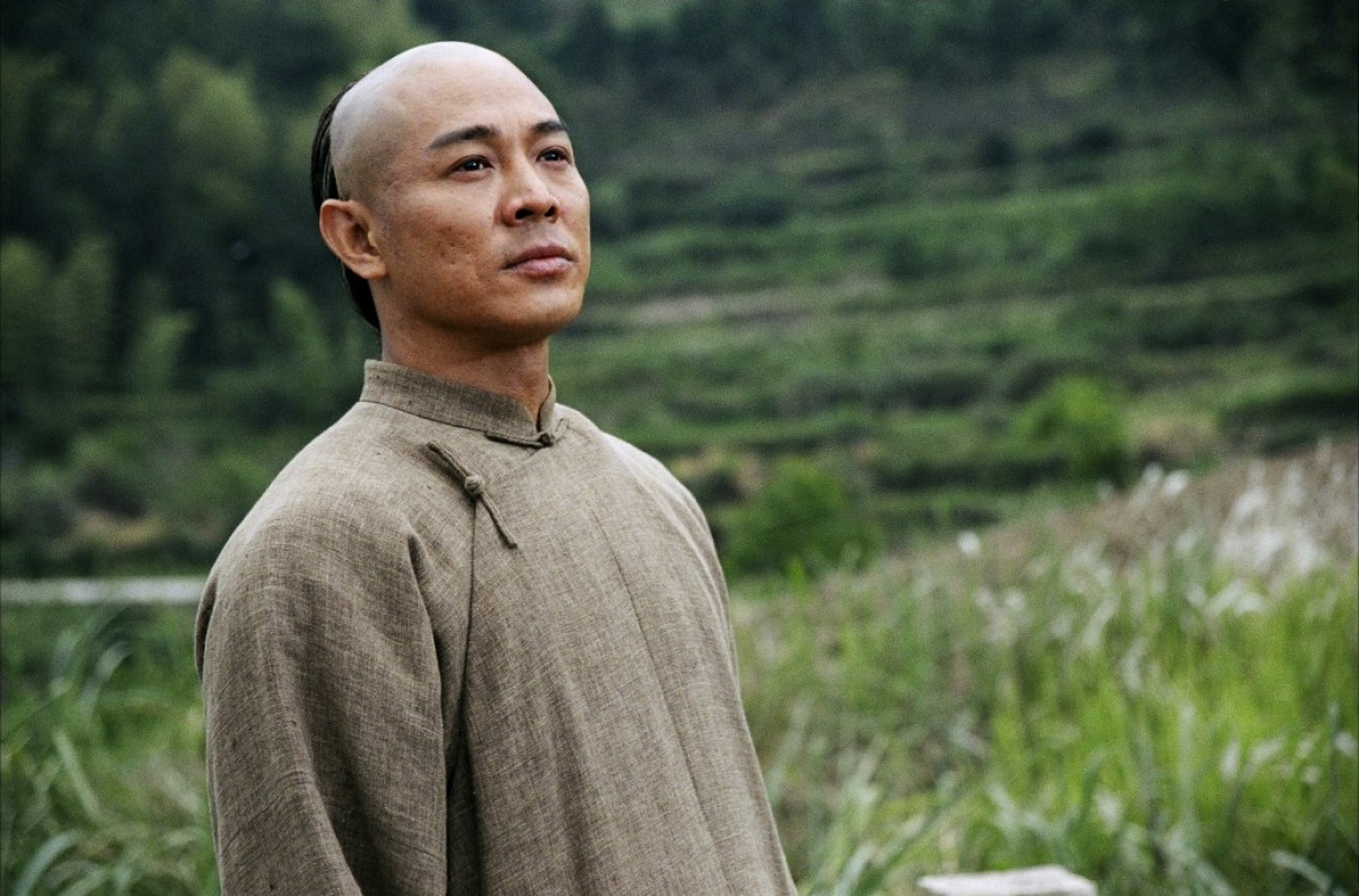 Picture of Fearless (2006)