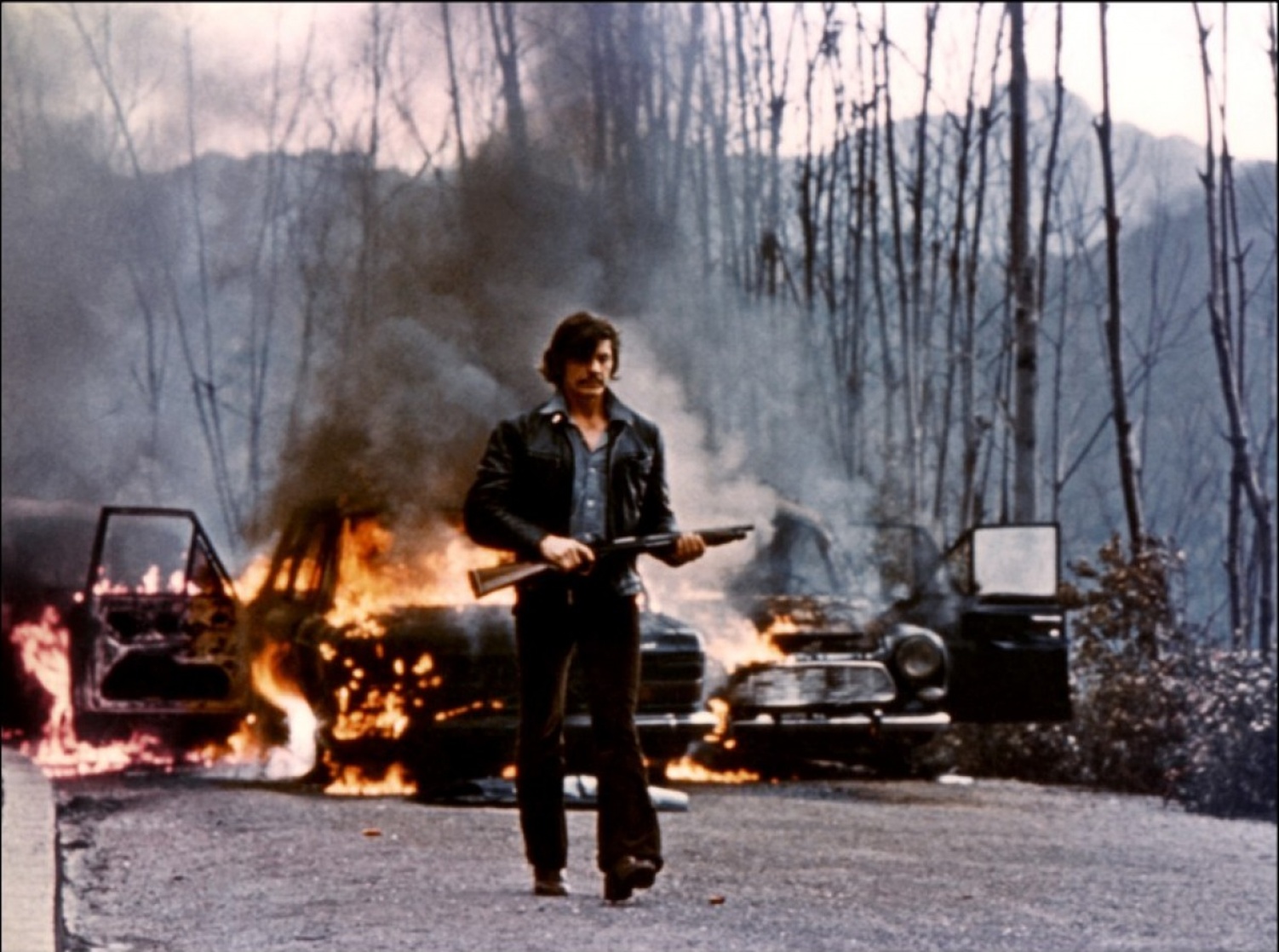 Picture of The Mechanic (1972)