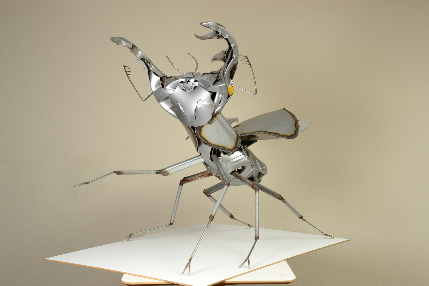 Stag Beetle by Ptolemy Elrington