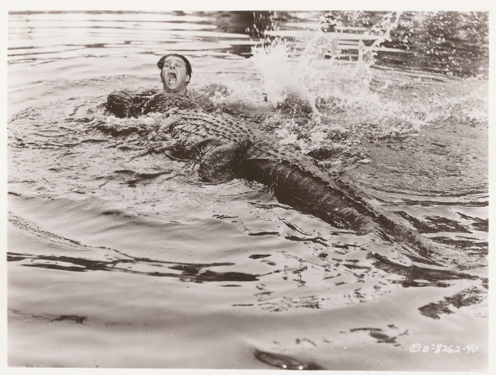 Picture of Cannibal Attack