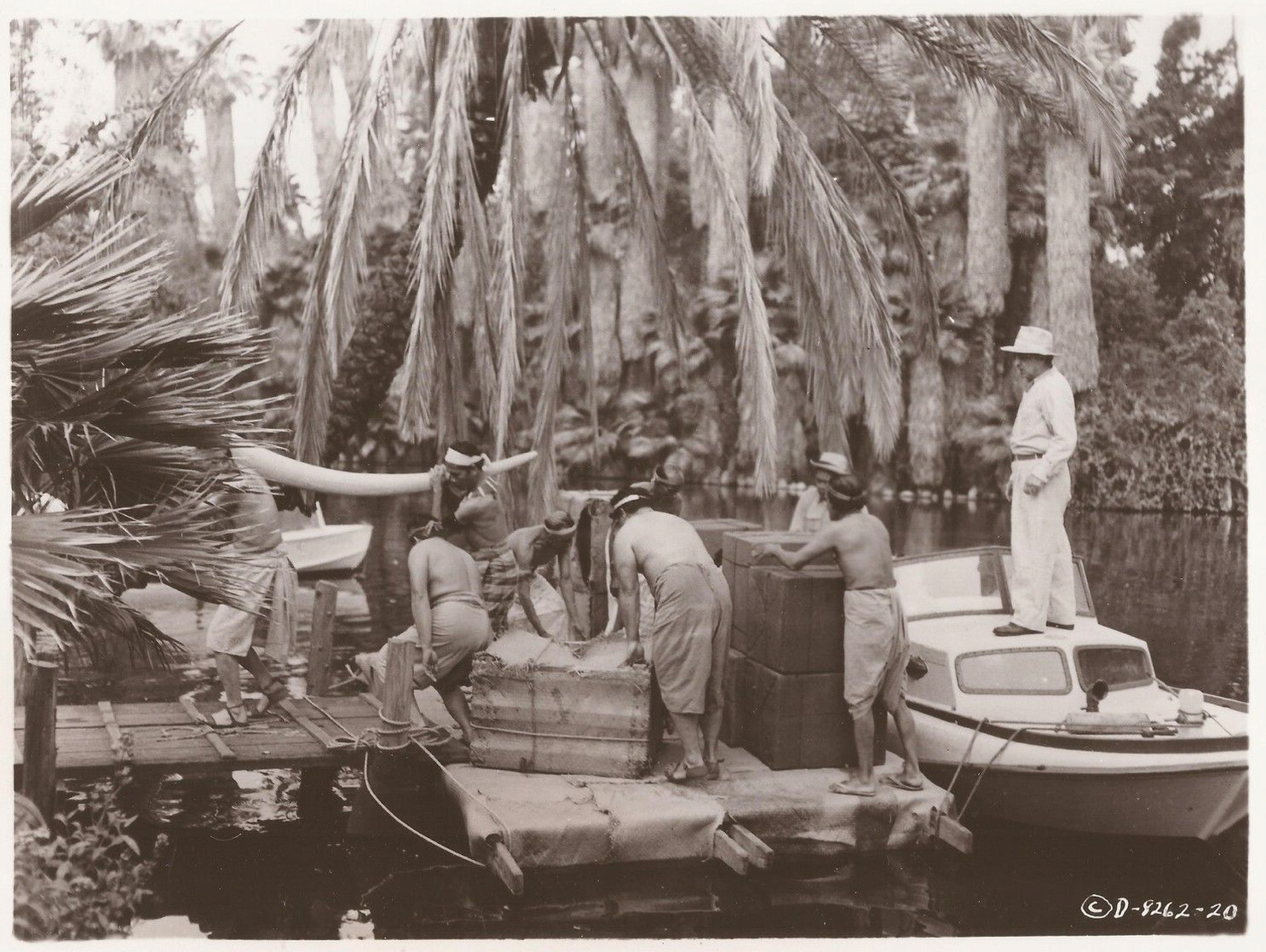 Picture of Cannibal Attack