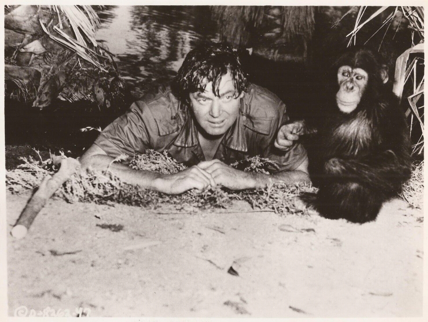 Cannibal Attack picture