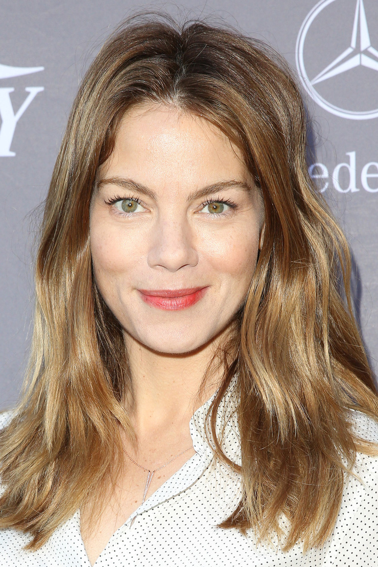 Picture of Michelle Monaghan