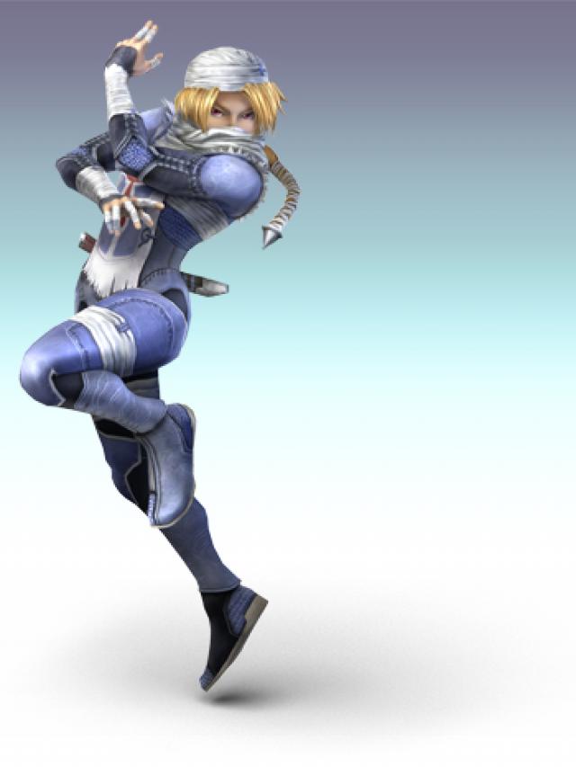 Picture of Sheik