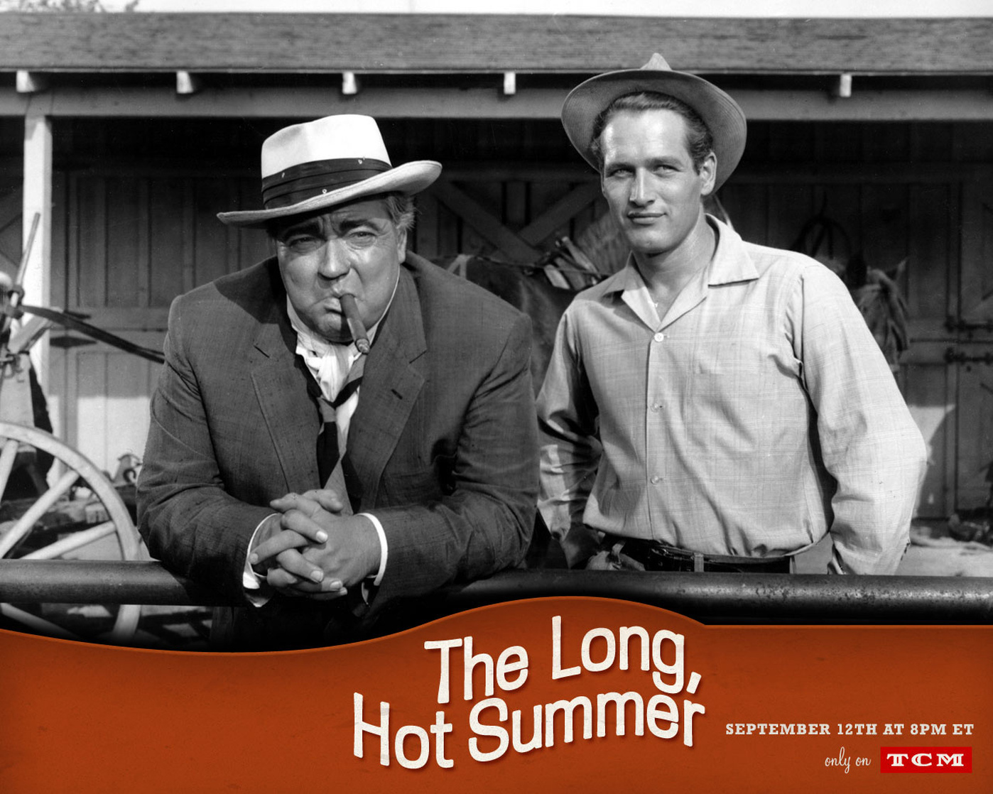 The Long, Hot Summer image