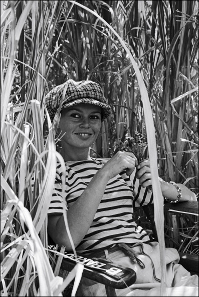 Image of Viva Maria!