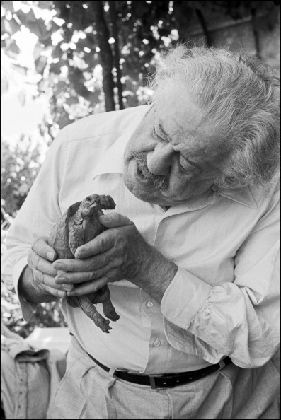 Picture of Michel Simon