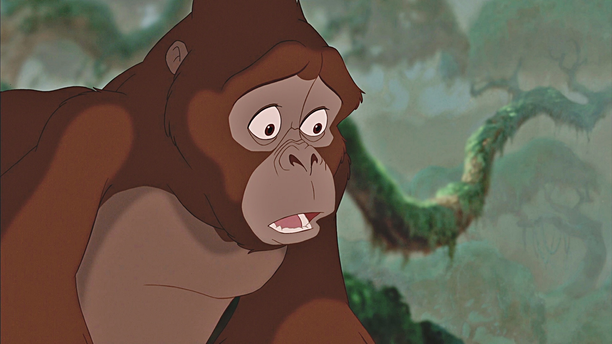 Picture of Tarzan