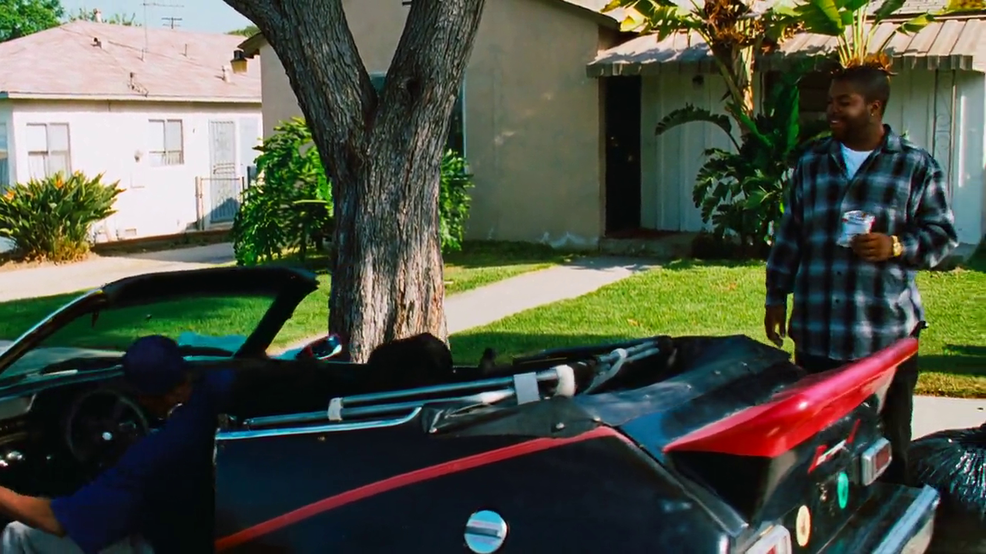 Picture of Friday (1995)