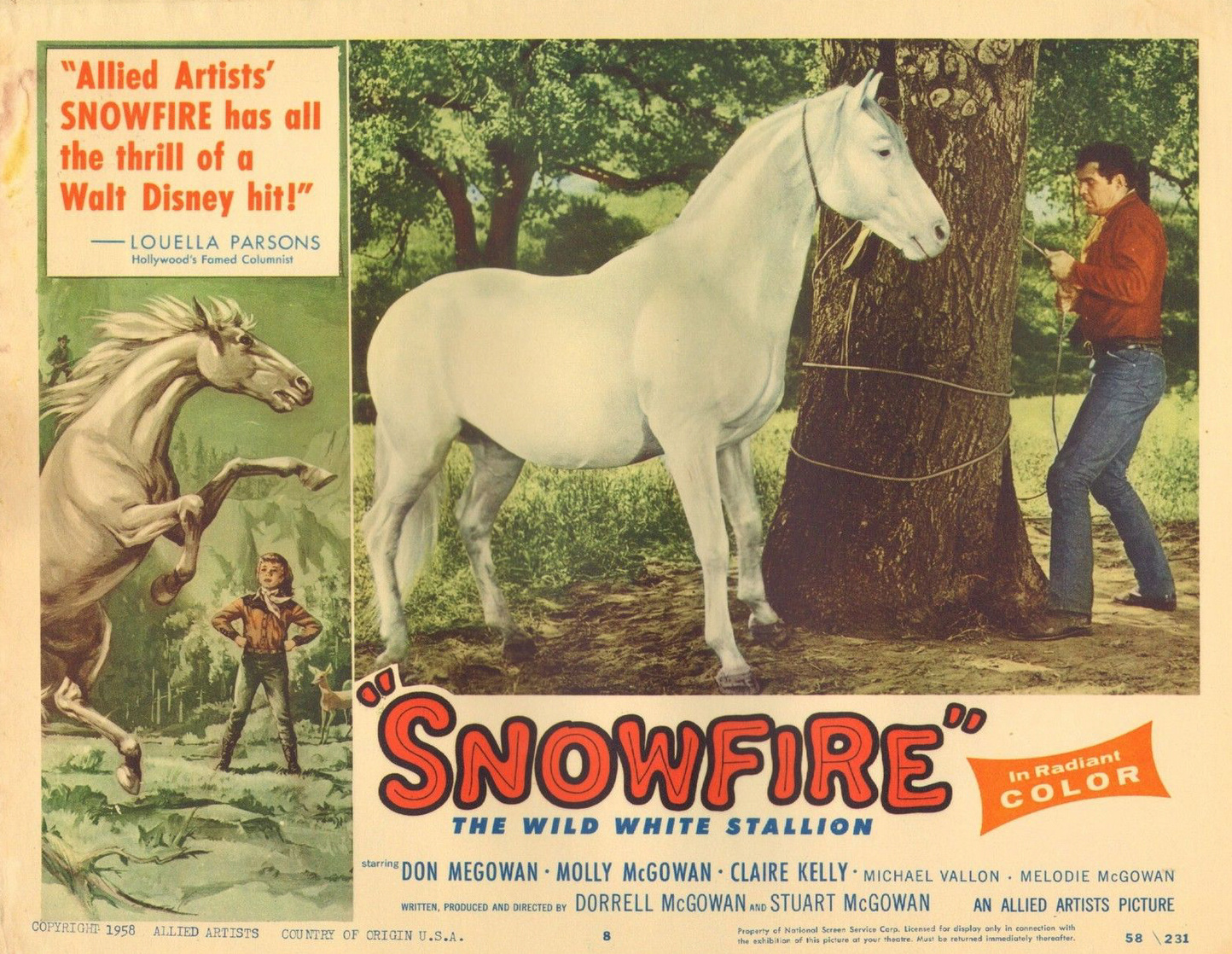 Snowfire image