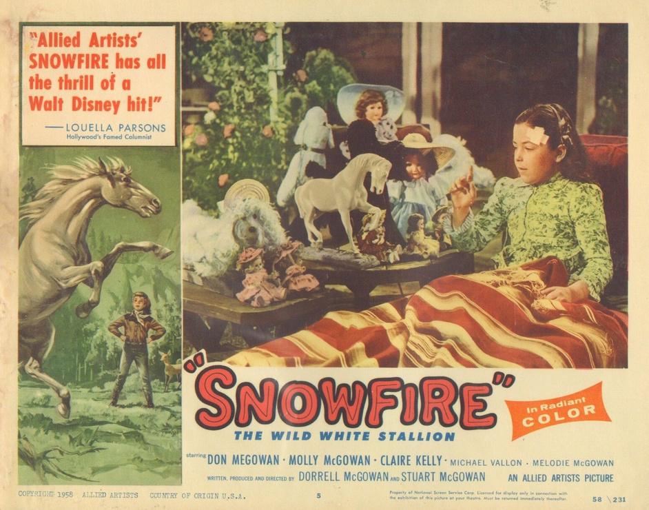 Snowfire image