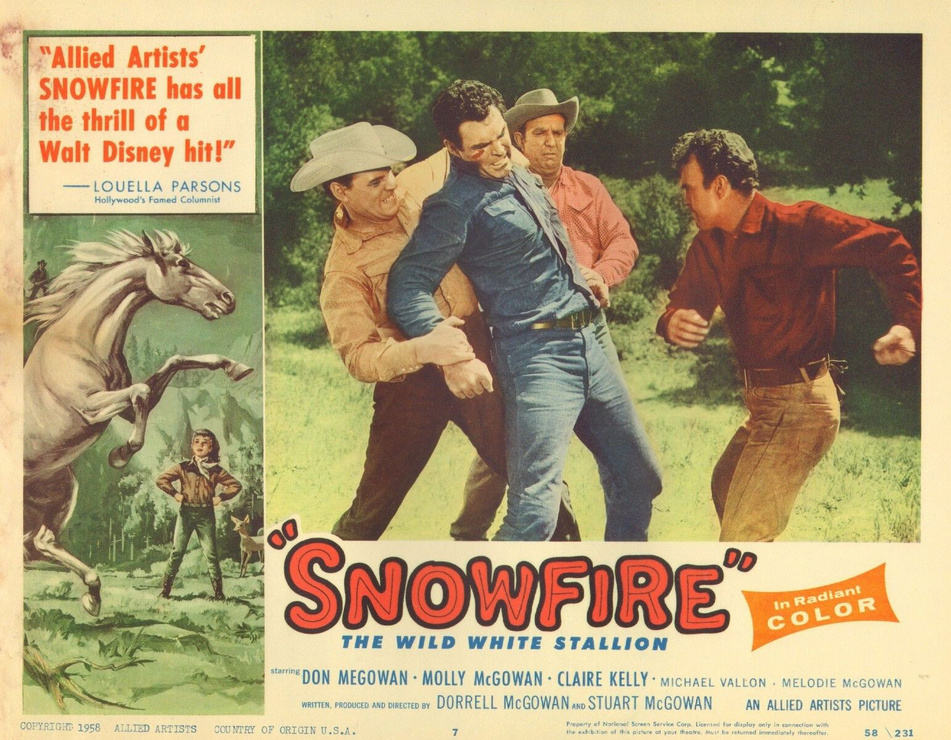 Snowfire picture
