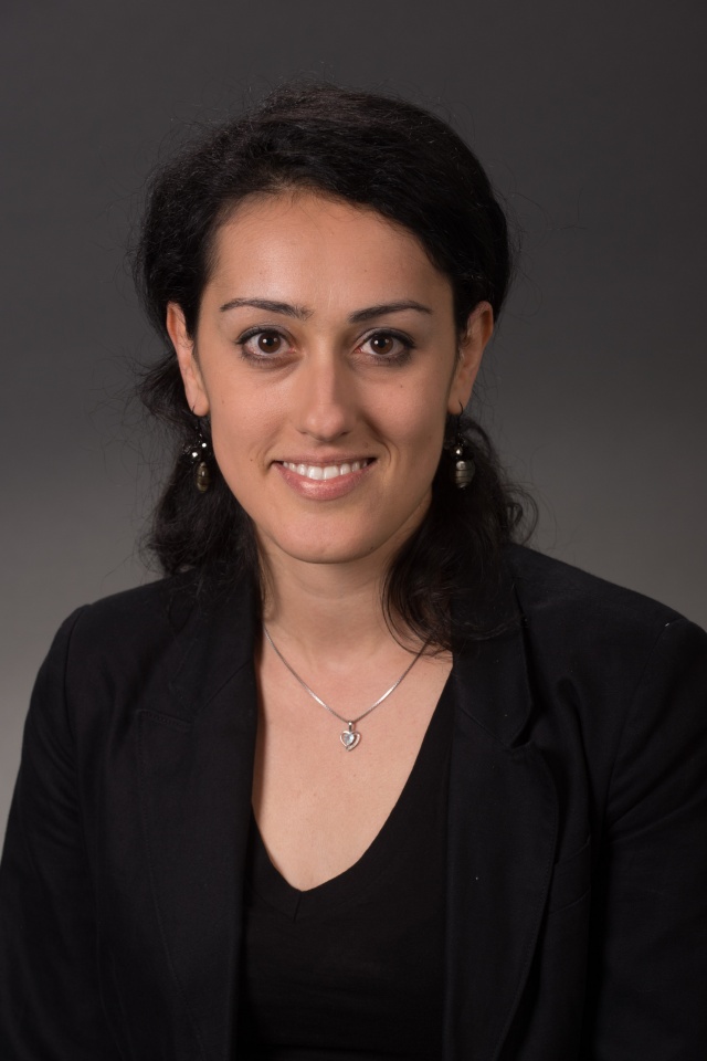 Talkhon Hamzavi image