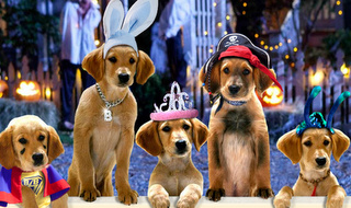 Picture of Spooky Buddies