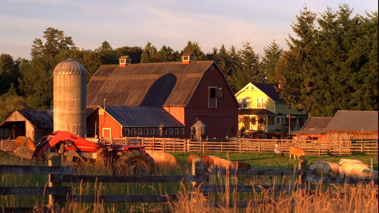 Picture of Smallville