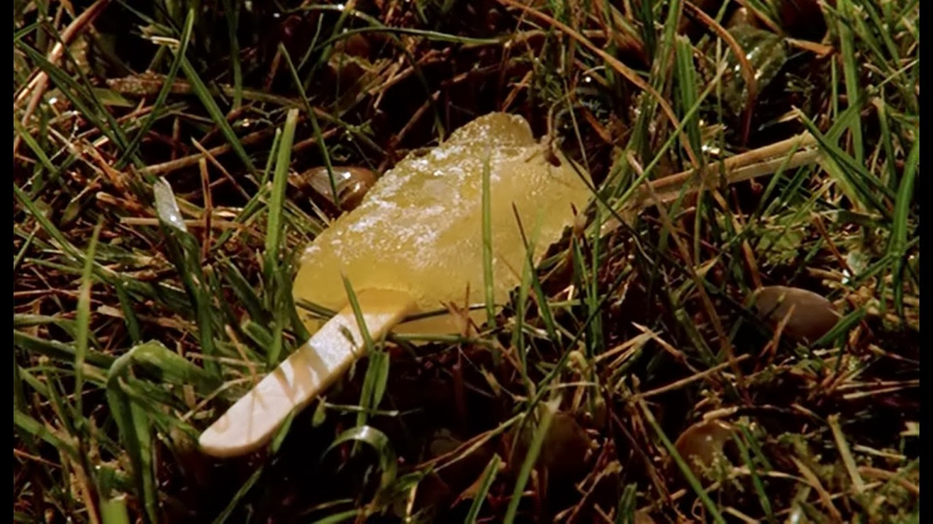 Picture of Drowning by Numbers