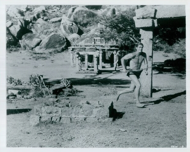 Picture of Tarzan Goes to India (1962)