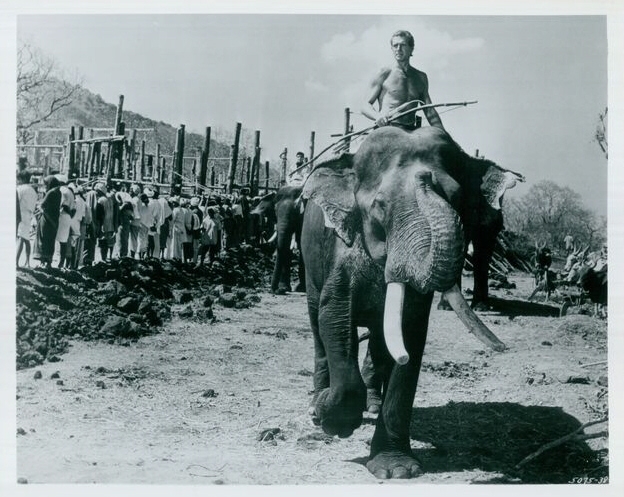 Image of Tarzan Goes to India (1962)