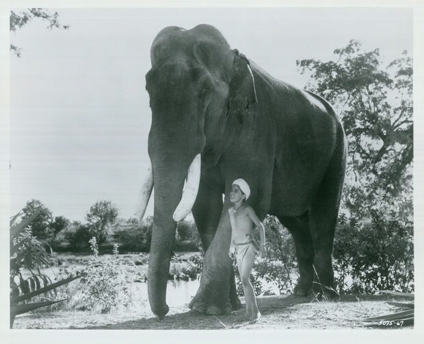 Tarzan Goes to India (1962) image