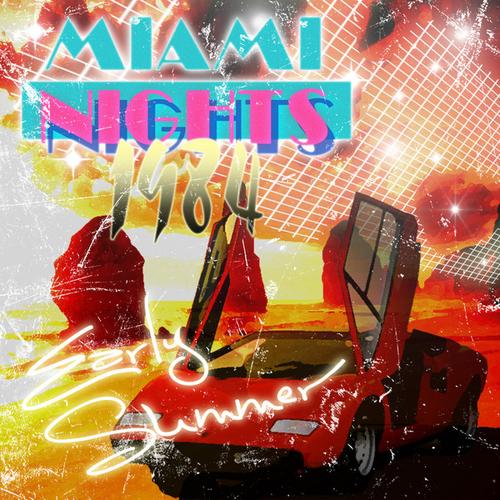 Miami Nights 1984 picture