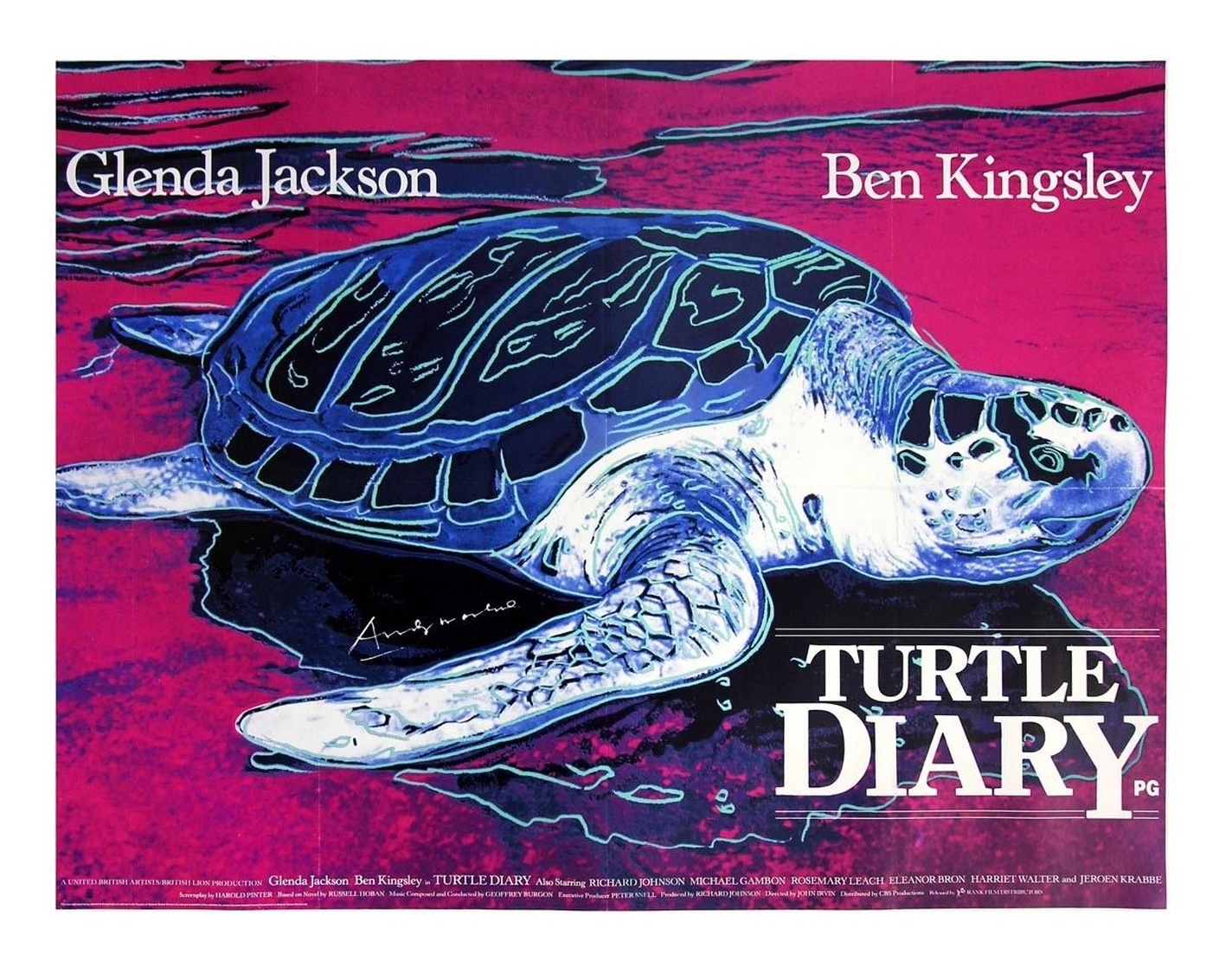 Picture of Turtle Diary