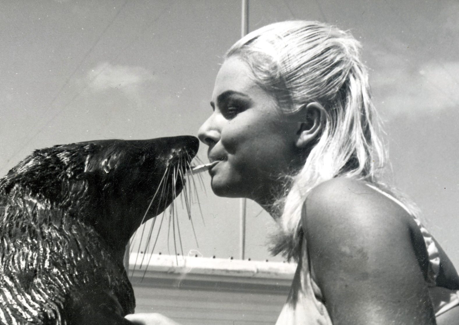 Picture of Kathy Troutt